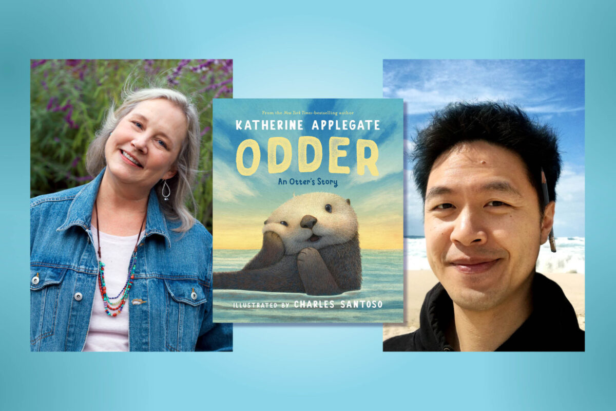 UQP acquires picture book edition of 'Odder: An Otter’s Story' by ...